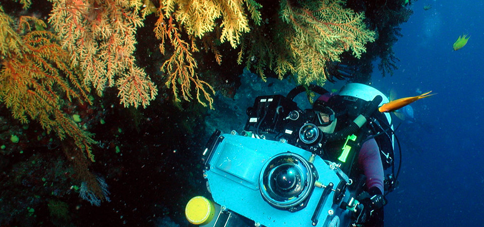 Liveaboard Scuba Diving on NAI'A - Fiji and Beyond