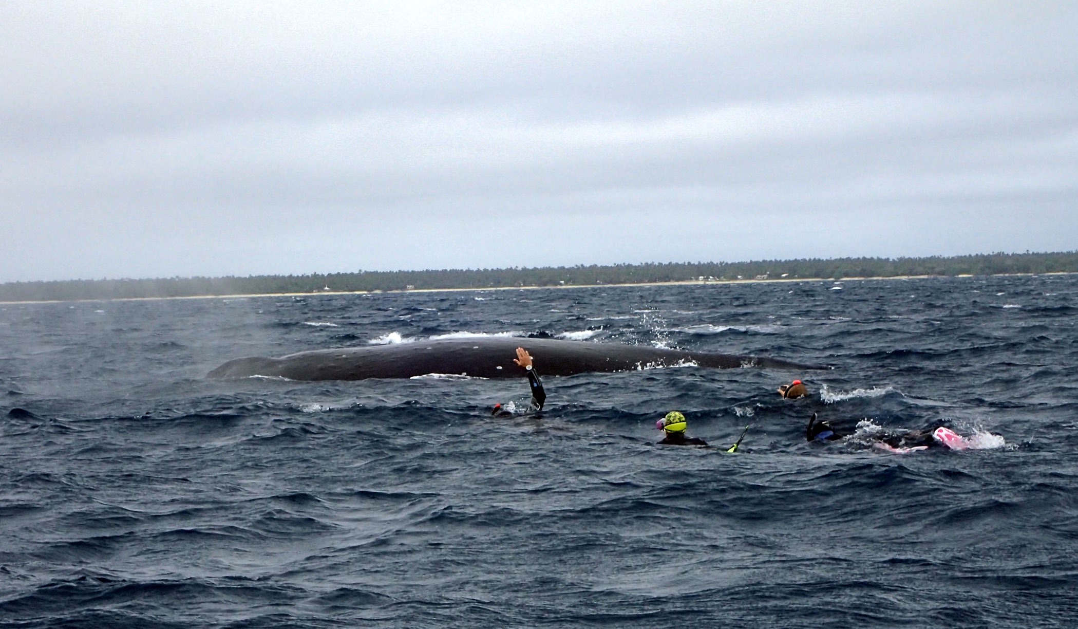 (Born To Be) WILD Earth Expeditions