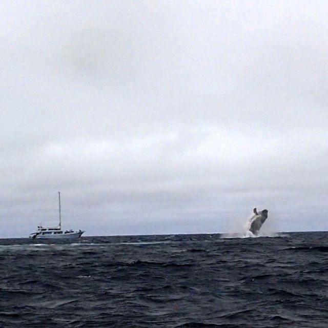 (Born To Be) WILD Earth Expeditions