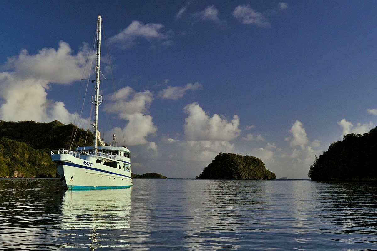 Fiji Liveaboard Diving - NAI'A