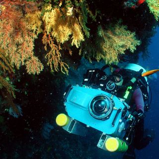 Fiji Liveaboard Diving - NAI'A